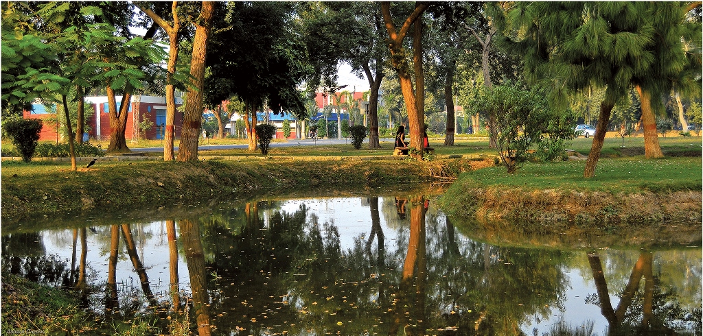 University of the Punjab